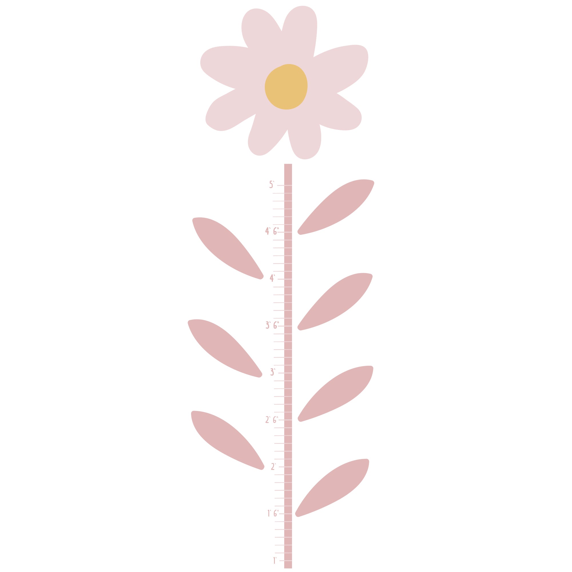Daisy Dreams Flower Growth Chart Wall Decals/Stickers – Lambs & Ivy