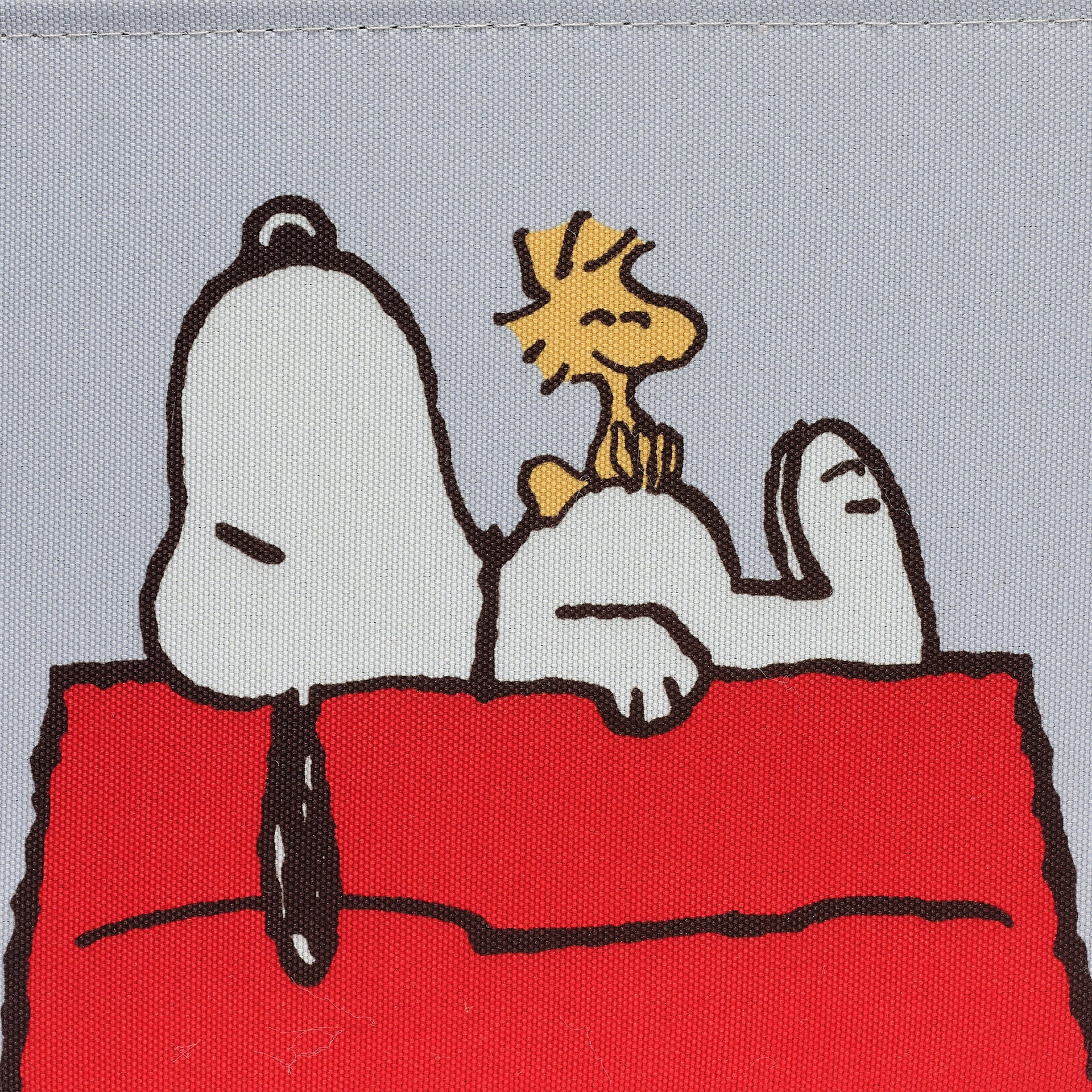 Snoopy Foldable/Collapsible Storage Bin/Basket Organizer w/ Handles ...